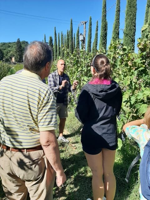 Tuscany from Rome- Pienza and Montepulciano private day tour - Analyzing the Experience: What You’ll Love