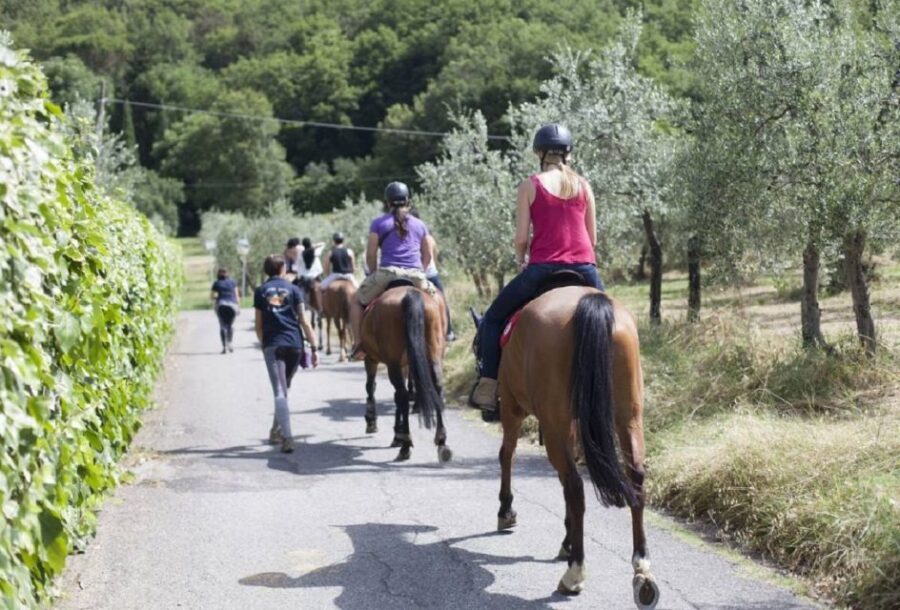 Tuscany: Horseback Riding Adventure with Lunch in a Winery - The Practical Side: Value, Logistics, and Considerations