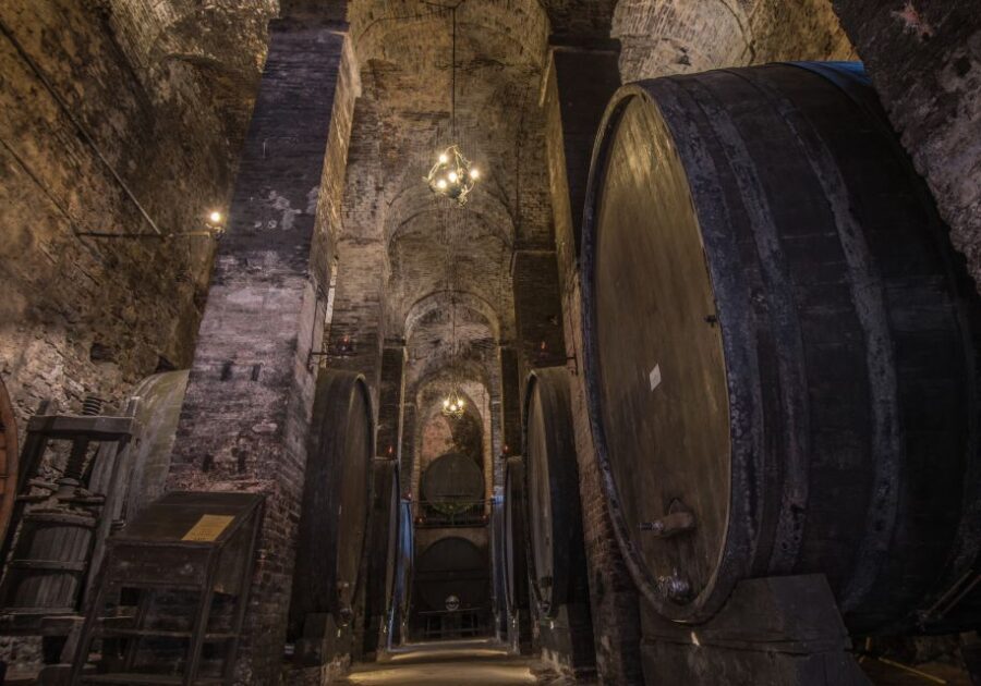 Tuscany: Self-Guided Video Tour with World's Top Experts - The Sum Up