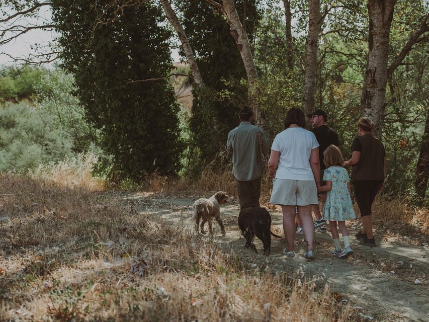 Tuscany: Volterra Truffle Hunting Experience - The Authenticity of the Experience
