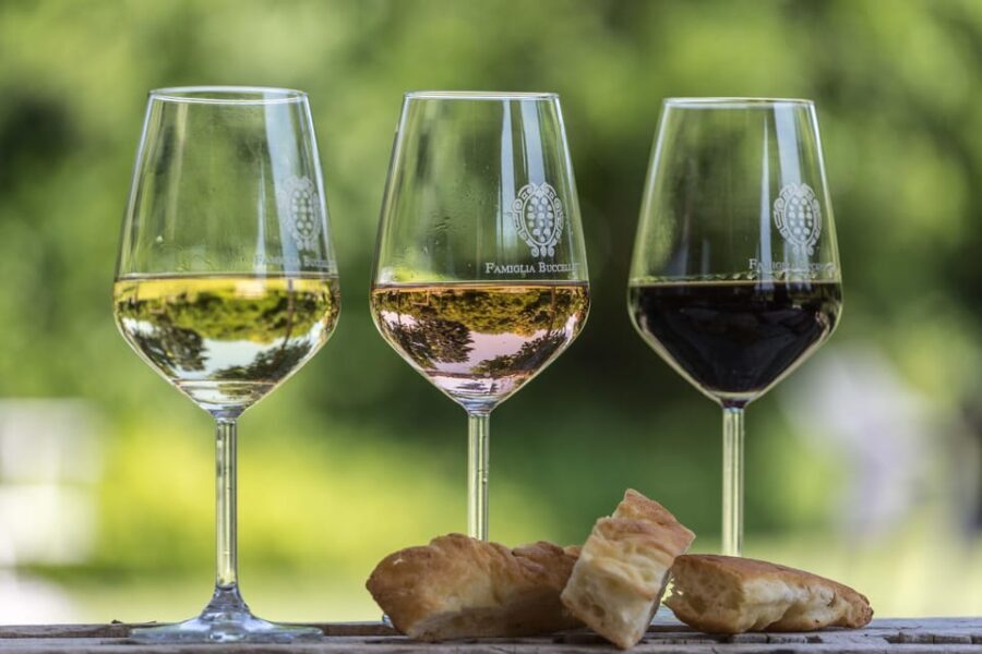 Tuscany: White Wine Tasting with Aperitivo at a Local Winery - Practical Tips for Visitors