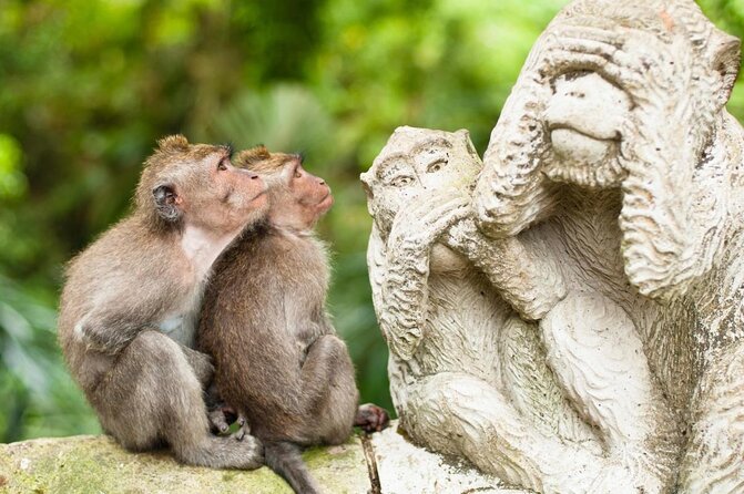Ubud: Exclusive Romantic Photo Cruise with Gourmet Delights - An Authentic Blend of Scenic Beauty and Cultural Highlights