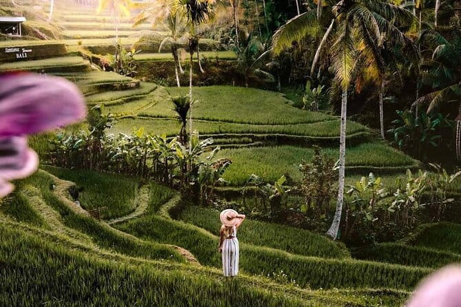 Ubud Highlights -Private Tour,Temples, Waterfalls & Rice terraces - Key Points