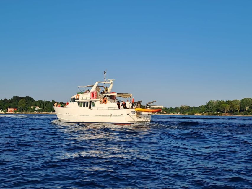 Umag: Sunset Cruise with Dolphin Spotting - The Itinerary and Setting