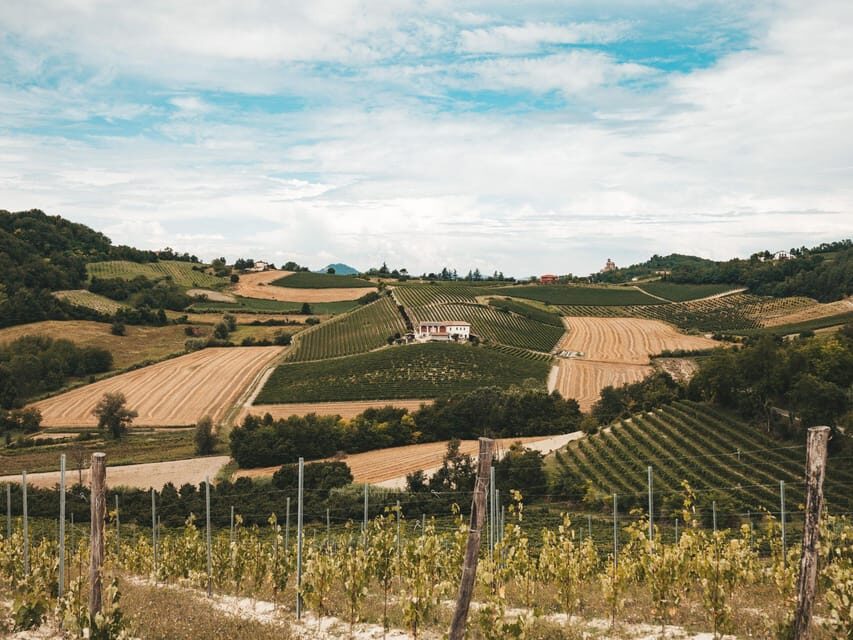 Underground Cave Visit with Food & Wine Tasting near Asti - Why This Tour Is Worth Considering