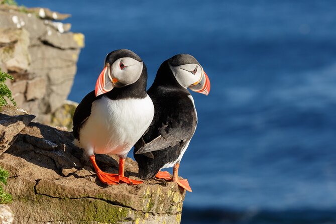Unforgettable 5-Day Iceland Stopover Tour - An Overview of the Tour Experience