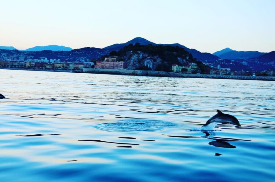 unforgettable boat excursion - An In-Depth Look at the Experience