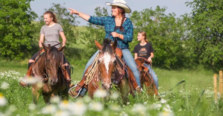 Upper Austria: landscape, forests, meadows - What to Expect During the Tour