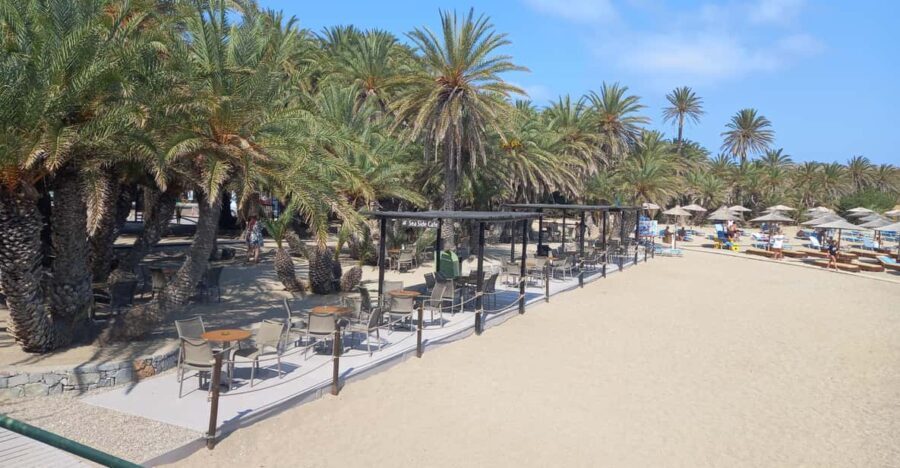 Vai Palm Beach Full Day Private Tour - The Practicalities: Costs, Comfort, and What’s Included