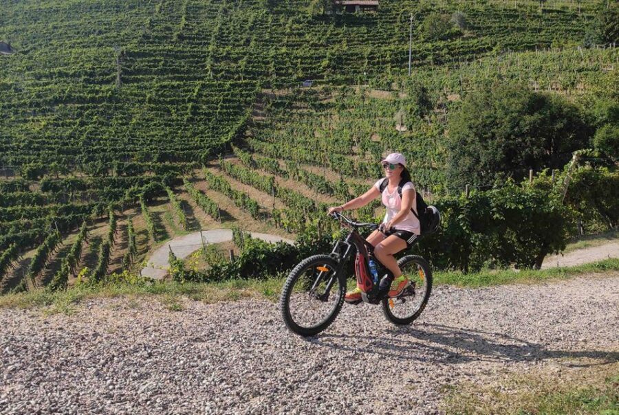 Valdobbiadene: Guided E-Bike Tour in Prosecco Hills - Final Thoughts: Who Should Consider This Tour?