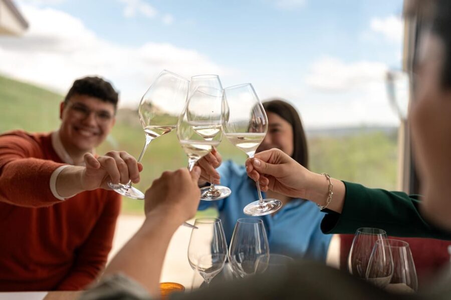 Valdobbiadene: Prosecco tasting with winery & vineyard tour - The Wines You Will Taste