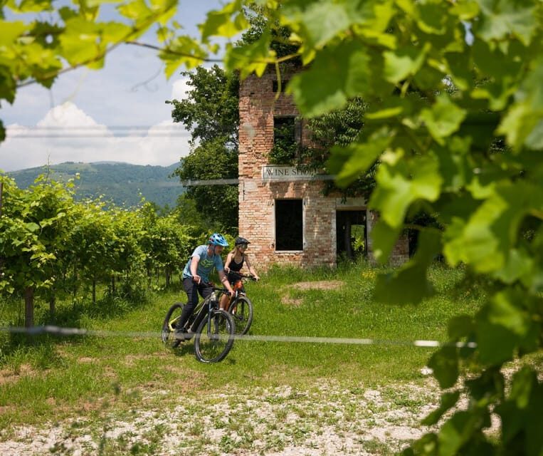 Valdobbiadene: self-guided e-bike tour in the Prosecco Hills - The Experience in Practice
