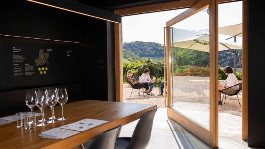 Valdobbiadene:Prosecco tasting,appetizers,winery & vineyard - The value of this experience