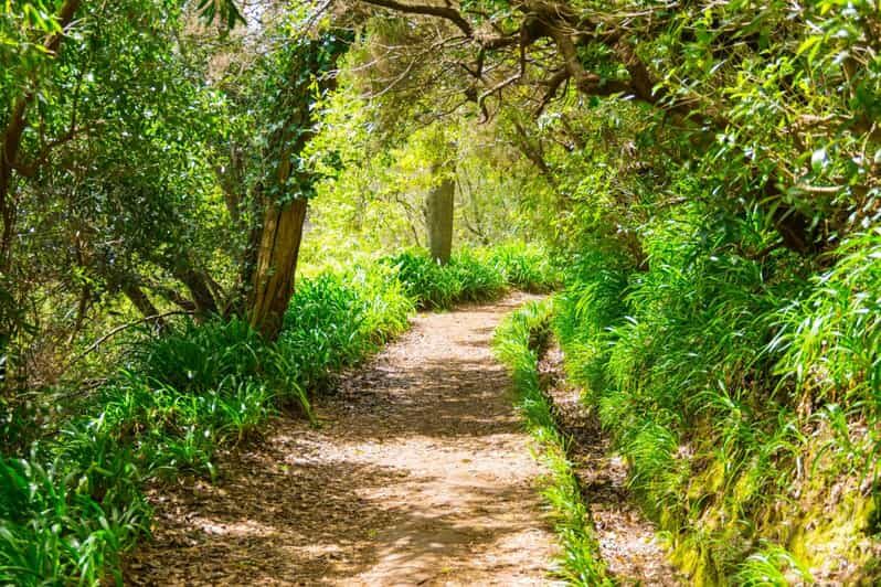 Vale Paraíso Rochão Madeira Island Walk - The Itinerary in Detail: What’s Included in Your Four Hours