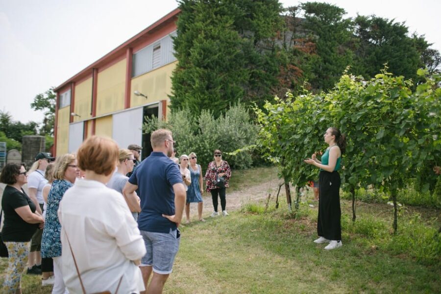 Valeggio: "Perlage d'Autore," bubbles of excellence and guided tour - Discovering Veneto’s Sparkling Secrets
