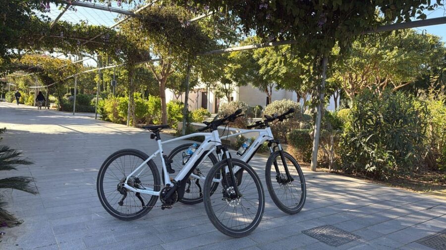 Valencia all in one: beaches, old town & city arts by E-bike - The E-Bikes and Group Dynamics