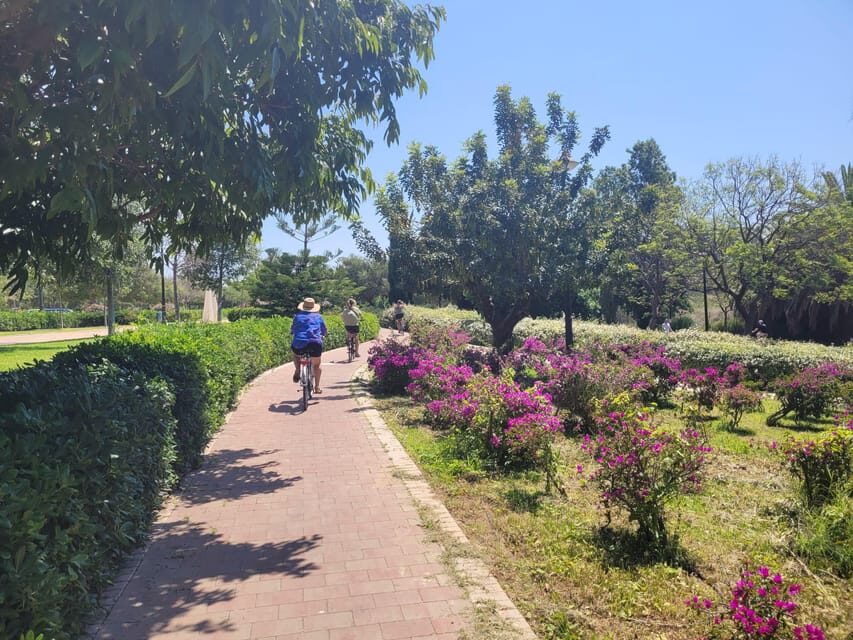 Valencia, Biketour of all the city with a local guide - A Detailed Breakdown of the Itinerary