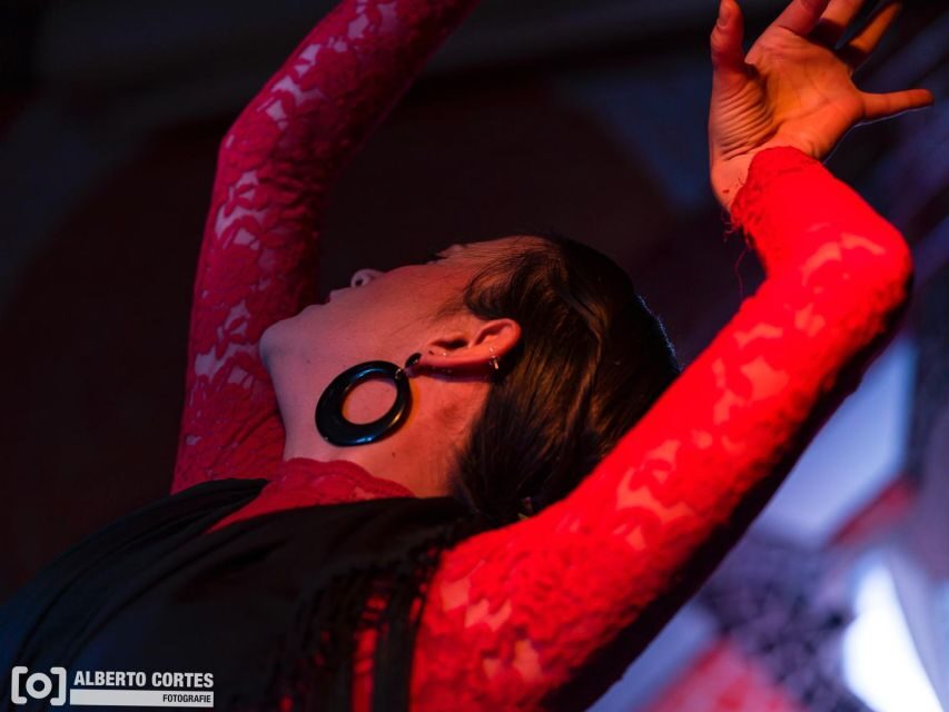 Valencia: Flamenco at Toro y La Luna with Drinks or Dinner - Why This Experience Offers Great Value