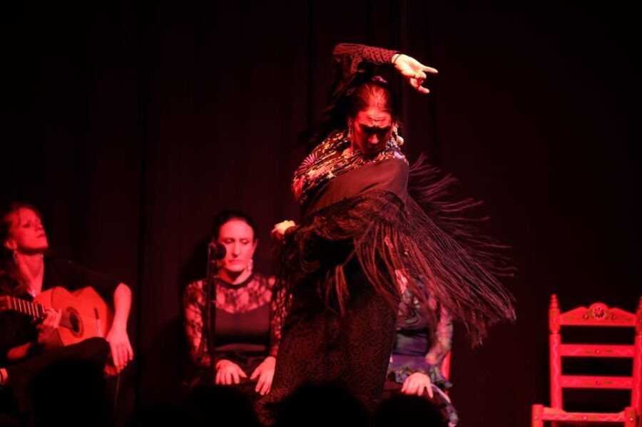 Valencia: Flamenco Show at Ca Revolta Theater - A Closer Look at the Flamenco Experience in Valencia