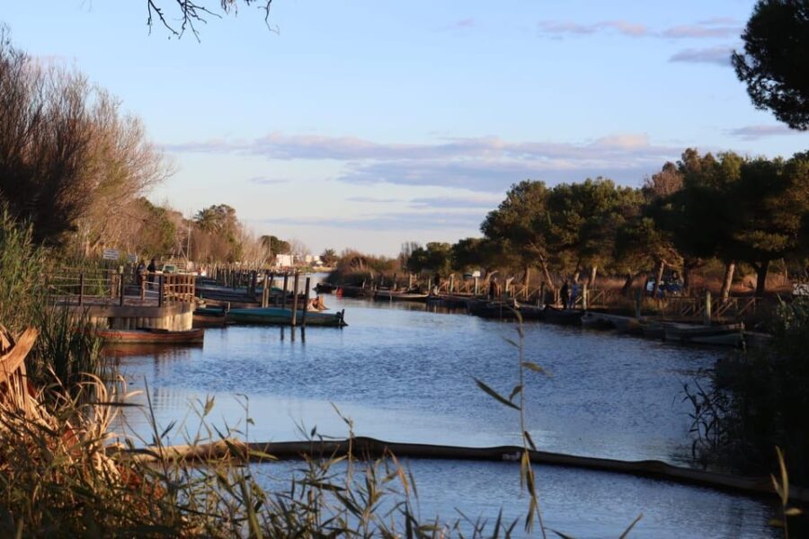 Valencia: Local Market, Boat Trip & Paella Workshop. - The Experience: What Travelers Can Expect