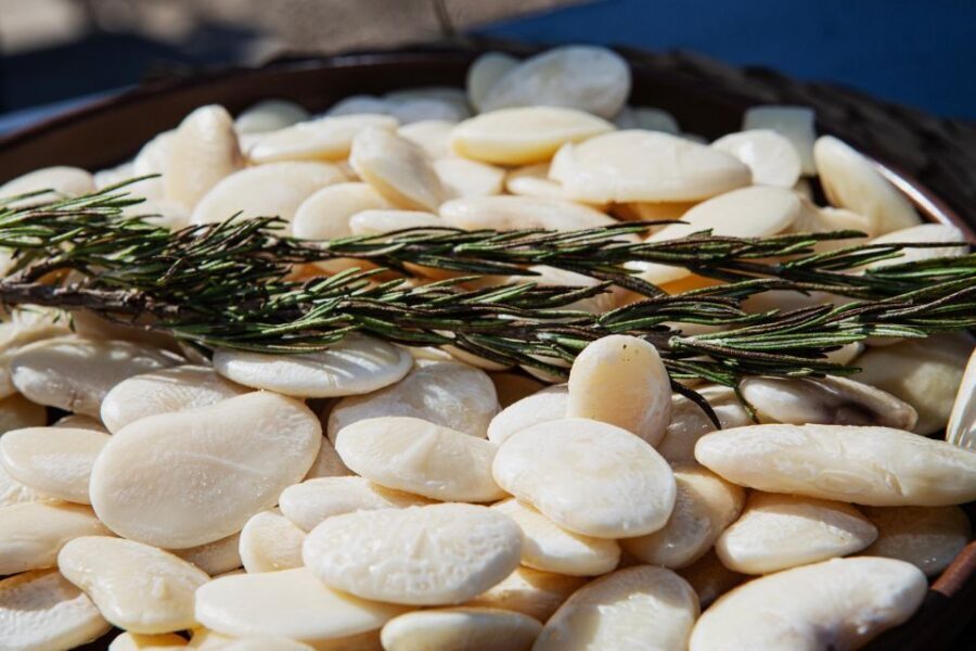 Valencia: Paella Full Experience Workshop at Villa Indiano - What’s Included and How It Adds Value