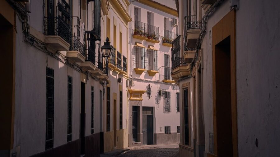 Valencia - Private Historic walking tour - The Experience: What’s Included and What’s Not