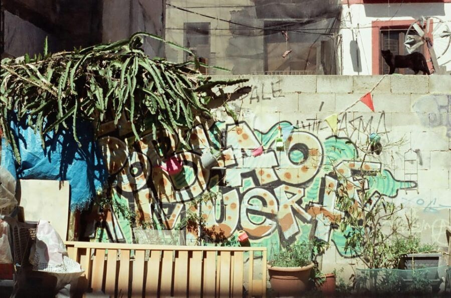 Valencia: Walking Tour of City Highlights with tastings - What to Expect on the Tour