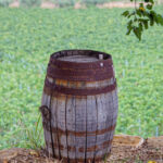 Valle delle Ferle: Wine Tasting & brunch in Caltagirone - Additional Practical Information