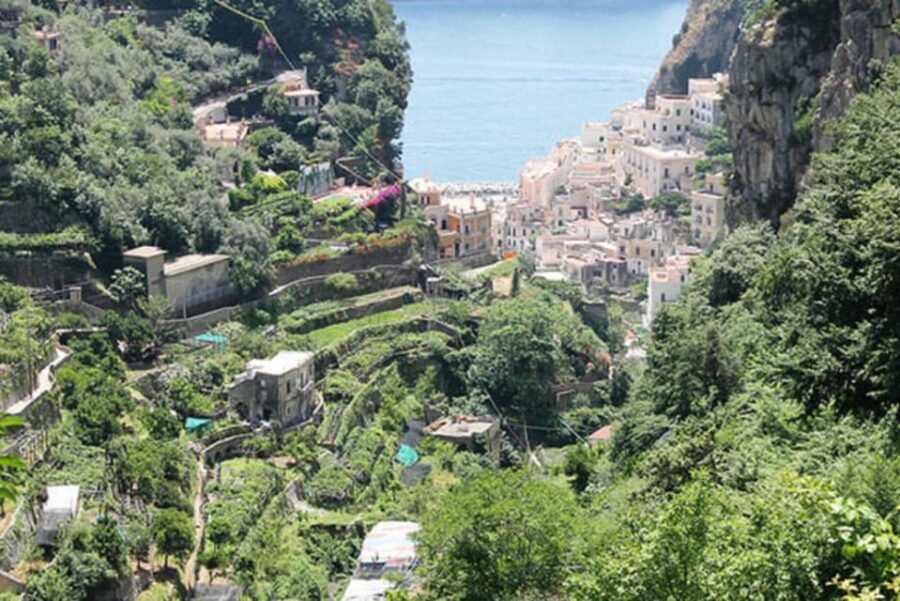 Valle delle Ferriere Trekking Shared Tour - What Makes This Tour Stand Out