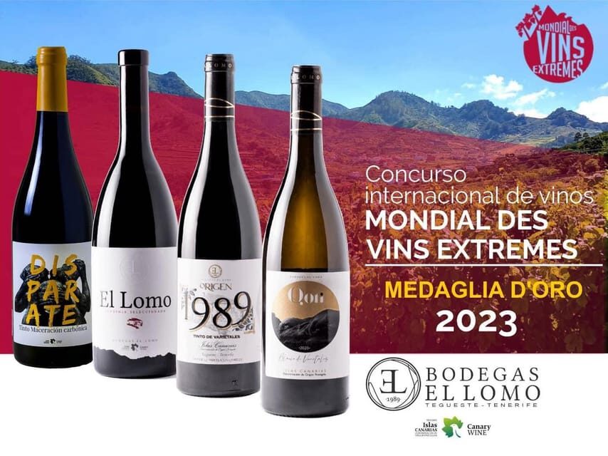 Valley of Tegueste: Wine Tour with Tasting at El Lomo Winery - What to Expect During Your Visit