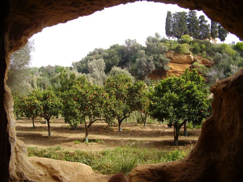Valley of the Temples: Kolymbethra Garden Entry Ticket - Who Should Consider This Experience?