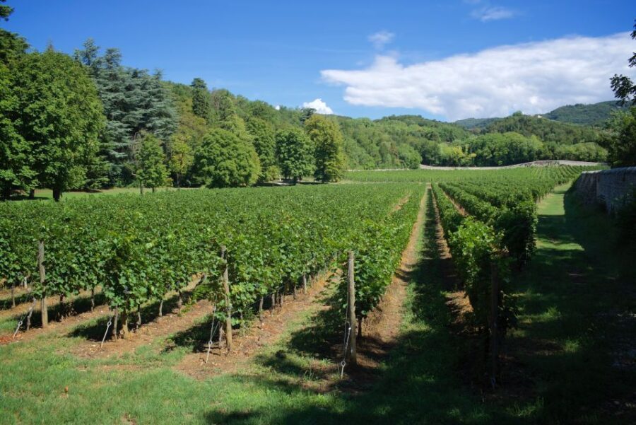 Valpolicella: Amarone Chateau Guided Tour and Wine Tasting - Considerations for Visitors