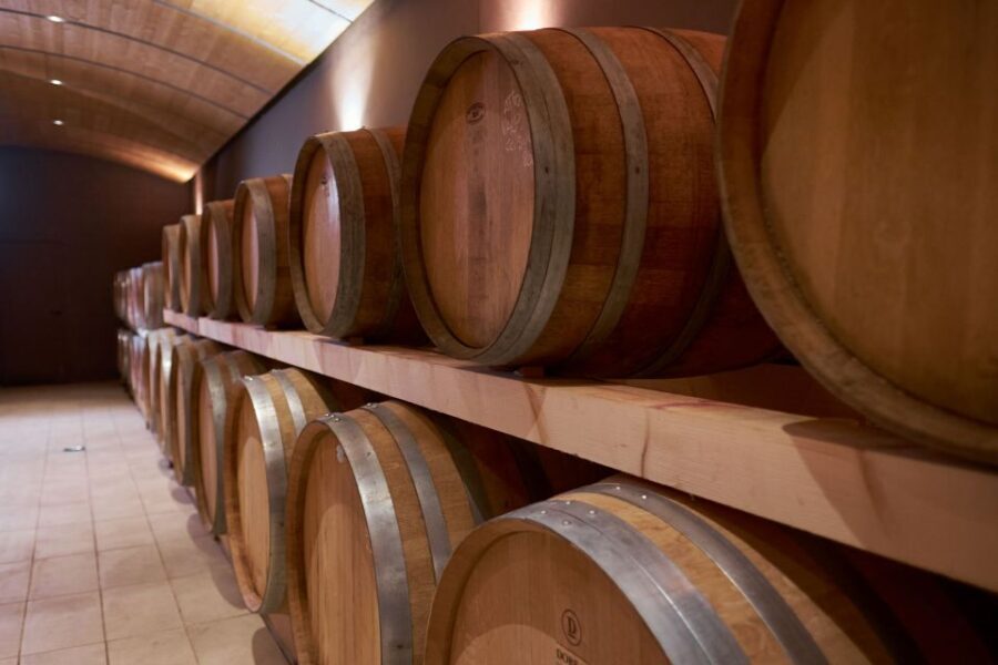 Valpolicella: Amarone Experience with Cantina Visit - Authentic Experiences and Authentic Reviews
