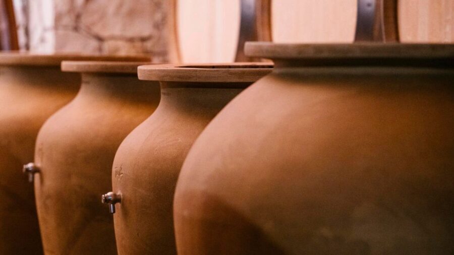 Valpolicella: Winery Tour with Red Wine&Cicchetti tasting - The Practical Side: Logistics and Experience