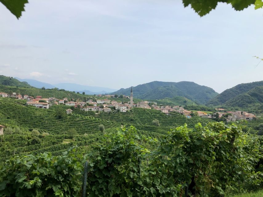 Venice: Prosecco Hills Wineries Tour with Tastings and Lunch - Discovering the Prosecco Hills: A Complete Breakdown