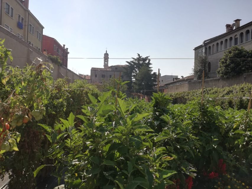 Venice: Secret City Gardens Walking Tour - Why This Tour Matters for Your Trip