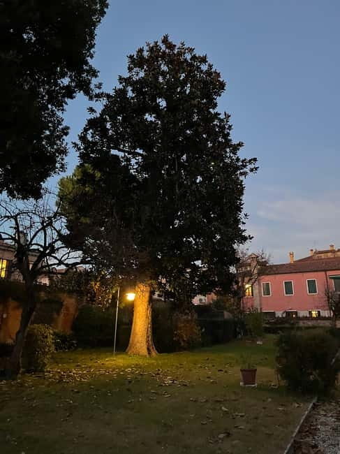 Venice: Sunrise Walking Tour with Espresso - Practical Details & Considerations