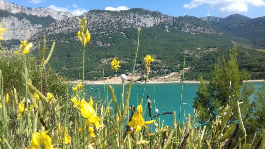 Verdon Gorge: The Grand canyon of Europe, Lake and Lavender - Who Should Take This Tour?