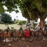 Verona: City E-Bike Tour with Lunch - Who Will Love This Tour?