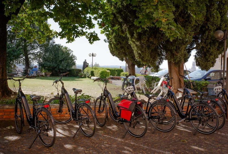 Verona: City E-Bike Tour with Lunch - Who Will Love This Tour?