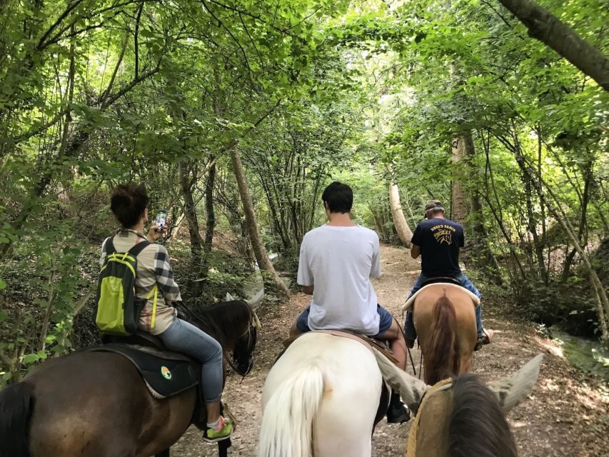Verona: Horseback Riding and Wine Tasting Experience - Practical Details: What You Need to Know