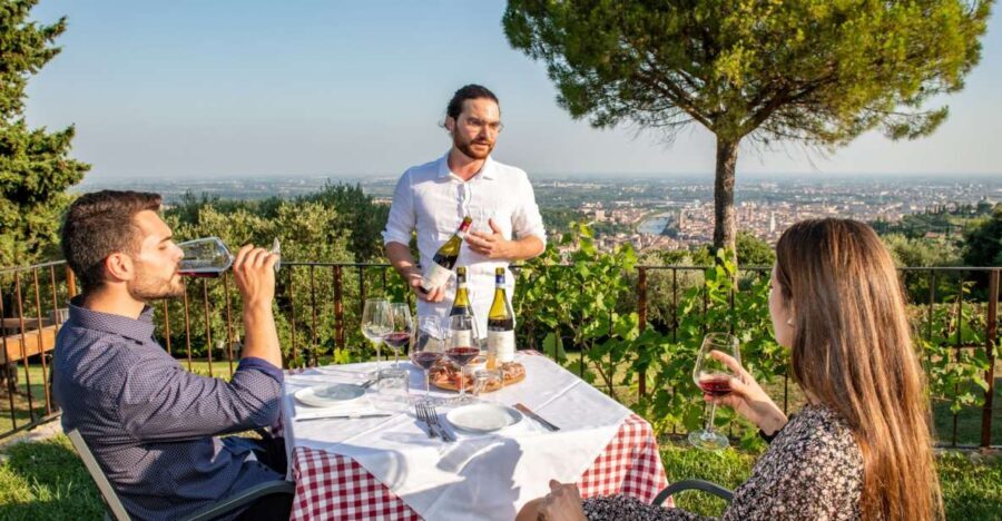 Verona: Wine Tasting with Snacks and Panoramic City Views - What You Can Expect from the Itinerary