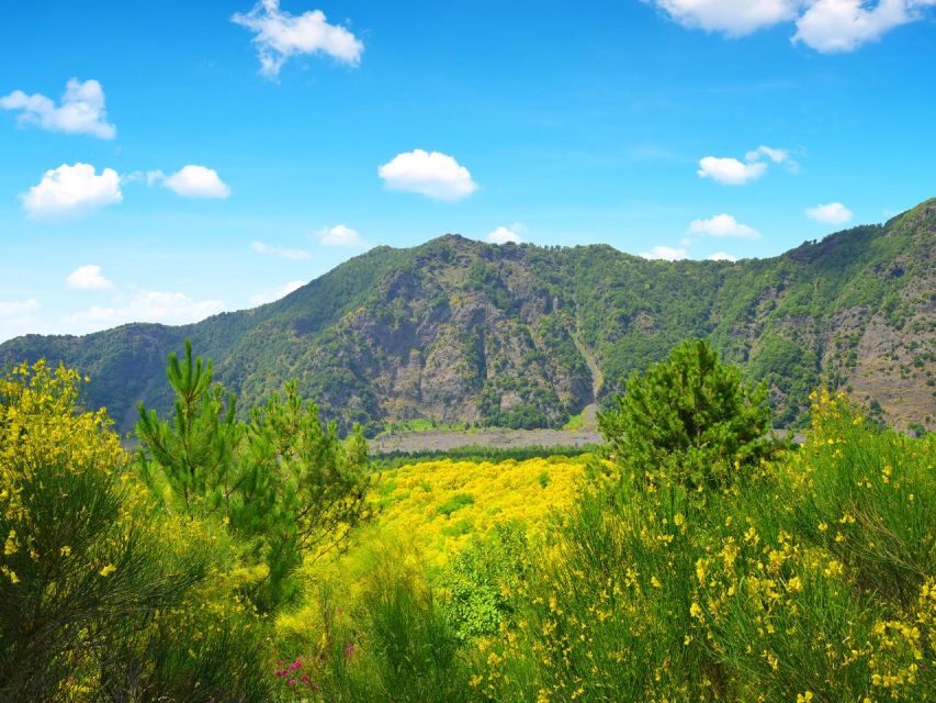 Vesuvius easy Transfer - The Practicalities: How It Works and What to Know