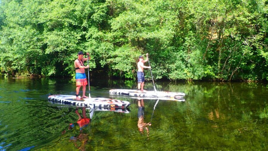Viana do Castelo: Vez River SUP with Transfer Options - The Itinerary: What to Expect