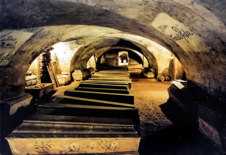 Vienna: 1.5-Hour Underground Walking Tour - Who Will Love This Tour?