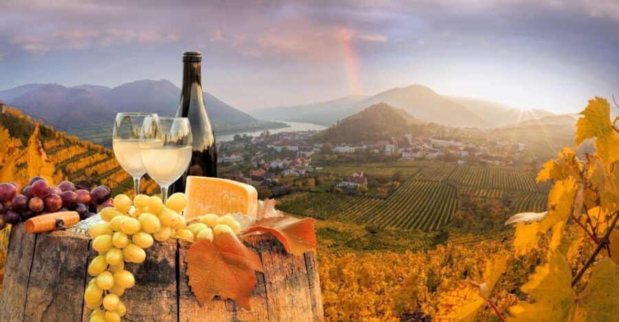 Vienna: Melk, Wachau Wine, Lower Austria Day Trip by Car - Is It Worth the Price?
