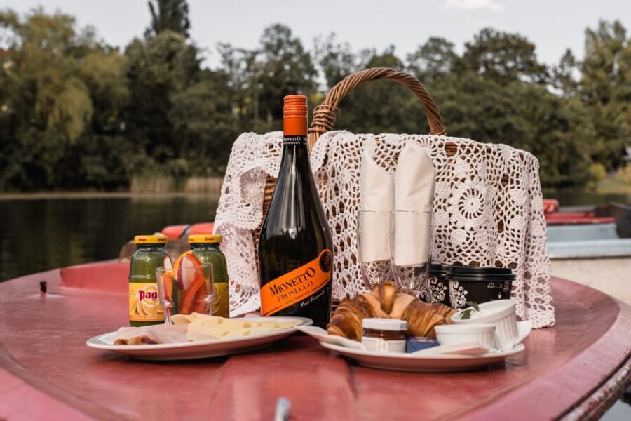 Vienna: Retro Boat Tour on the Danube River with Picnic - Practical Details and Tips