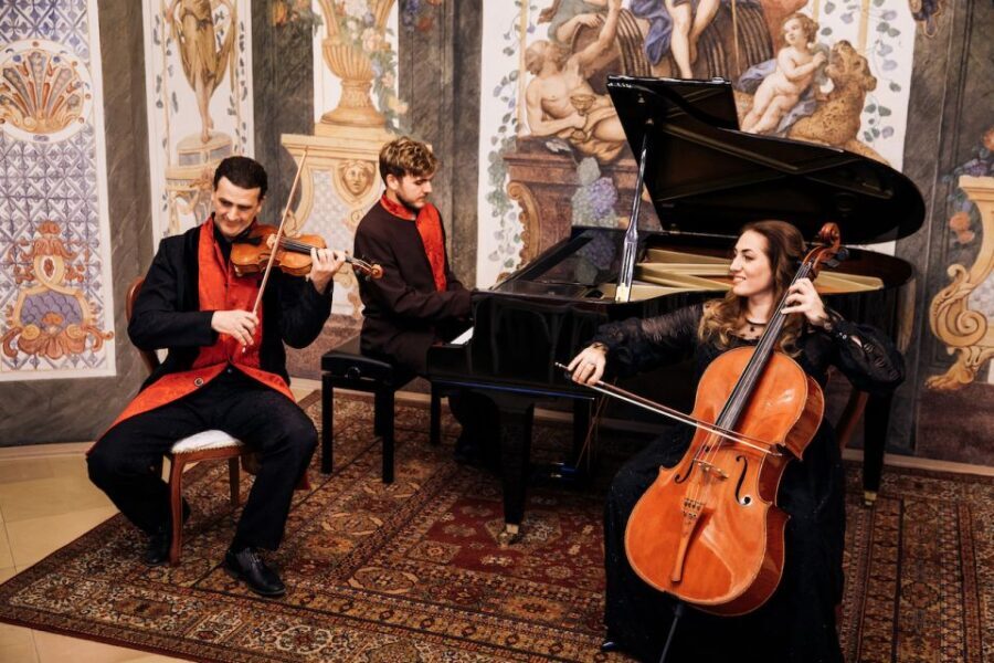 Vienna: Romantic Classics Piano, Violin, and Cello Concert - The Setting and Venue