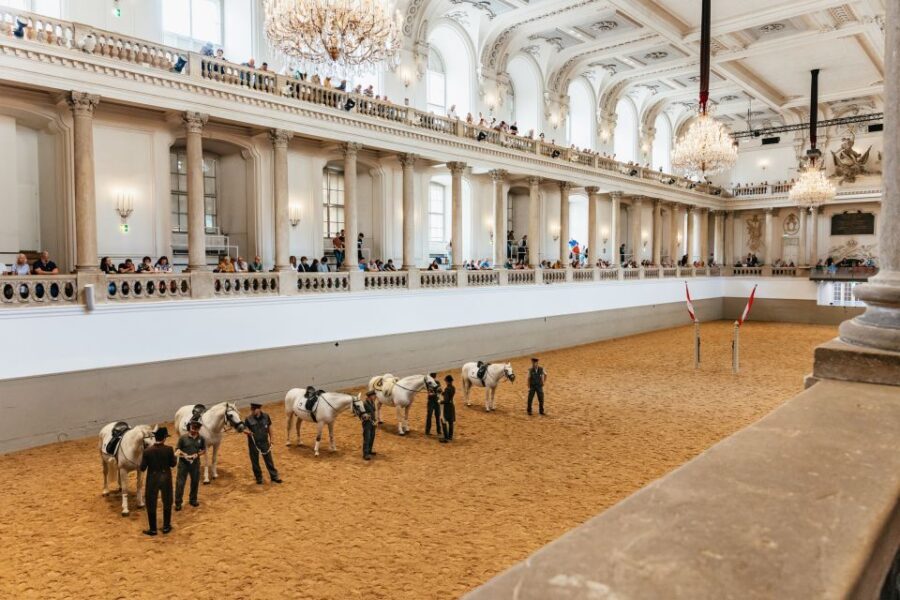 Vienna: Spanish Riding School Training - The Experience of Watching the Horses