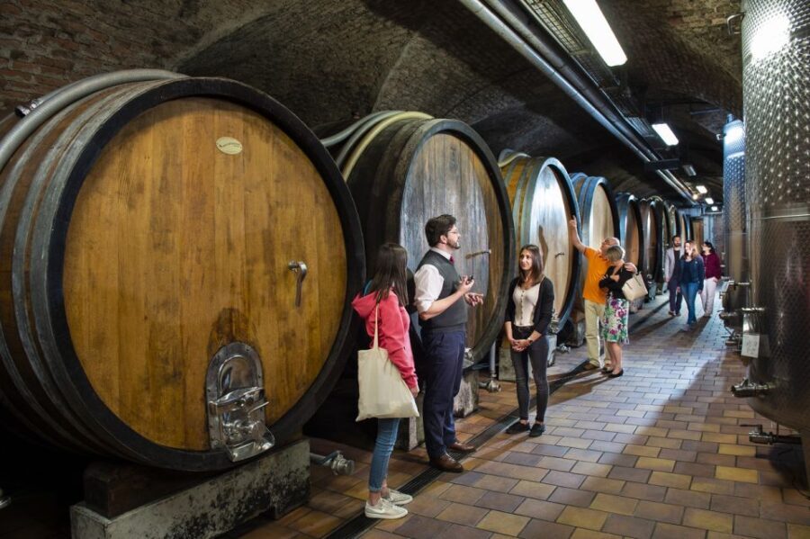 Vienna: Wine Tasting E-Bike Tour - Key Points